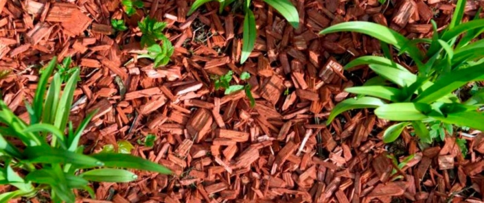 Rindenmulch Auf Rasen